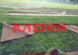 Big Roll Turf Harvester | KASHIN Turf Care