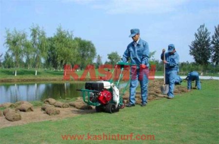 How to use and choose a Sod Cutter | KASHIN Turf Care